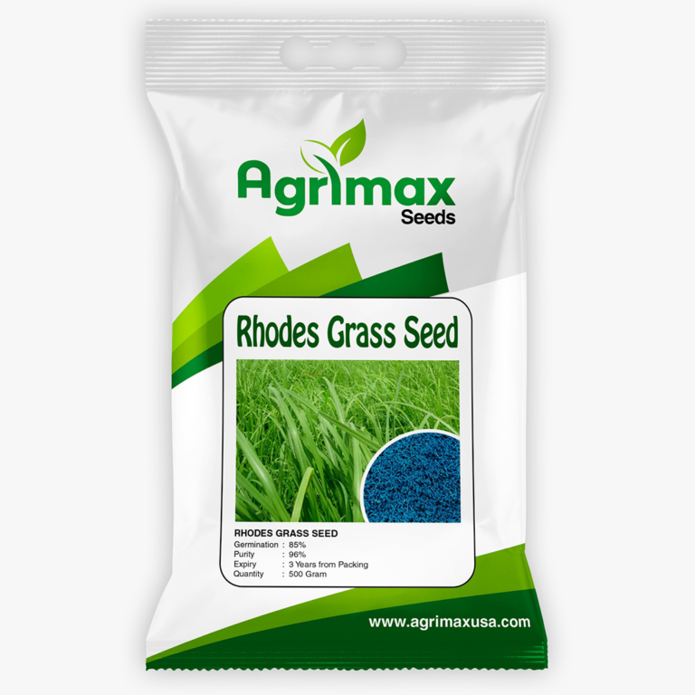 Rhodes Grass (1 KG) - Angromax Seed