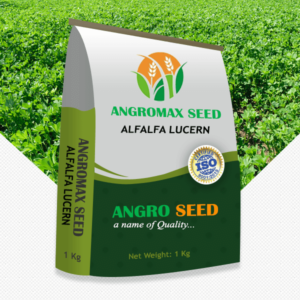 ALFALFA CUF 101 (1 Kg Pack)